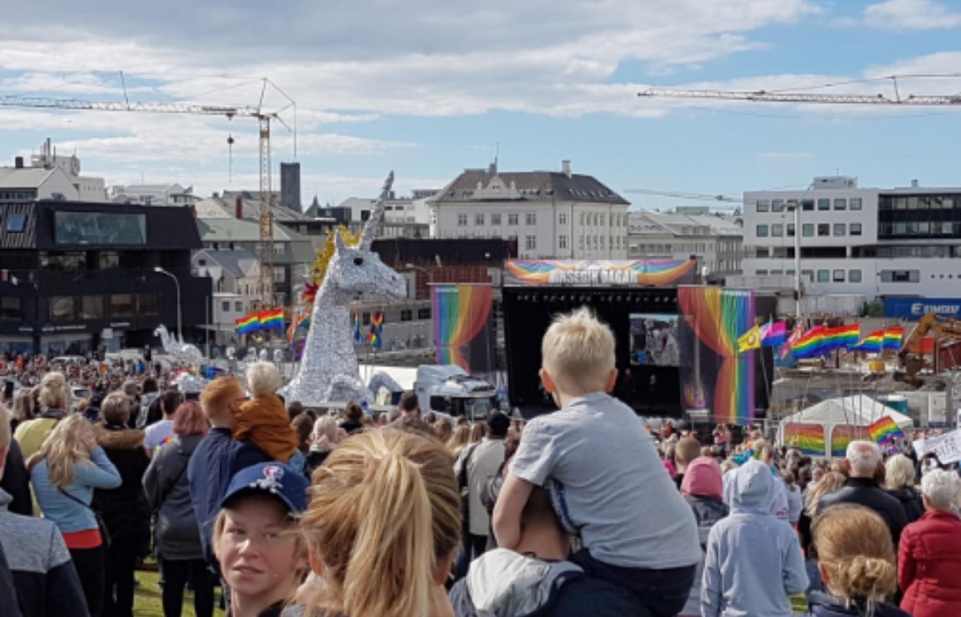 Veist þú um geymslurými fyrir einhyrninginn hans Palla? - DV