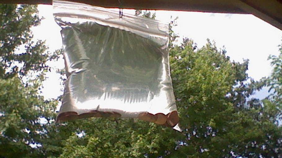 Einfalt ráð til að halda flugum fjarri - DV