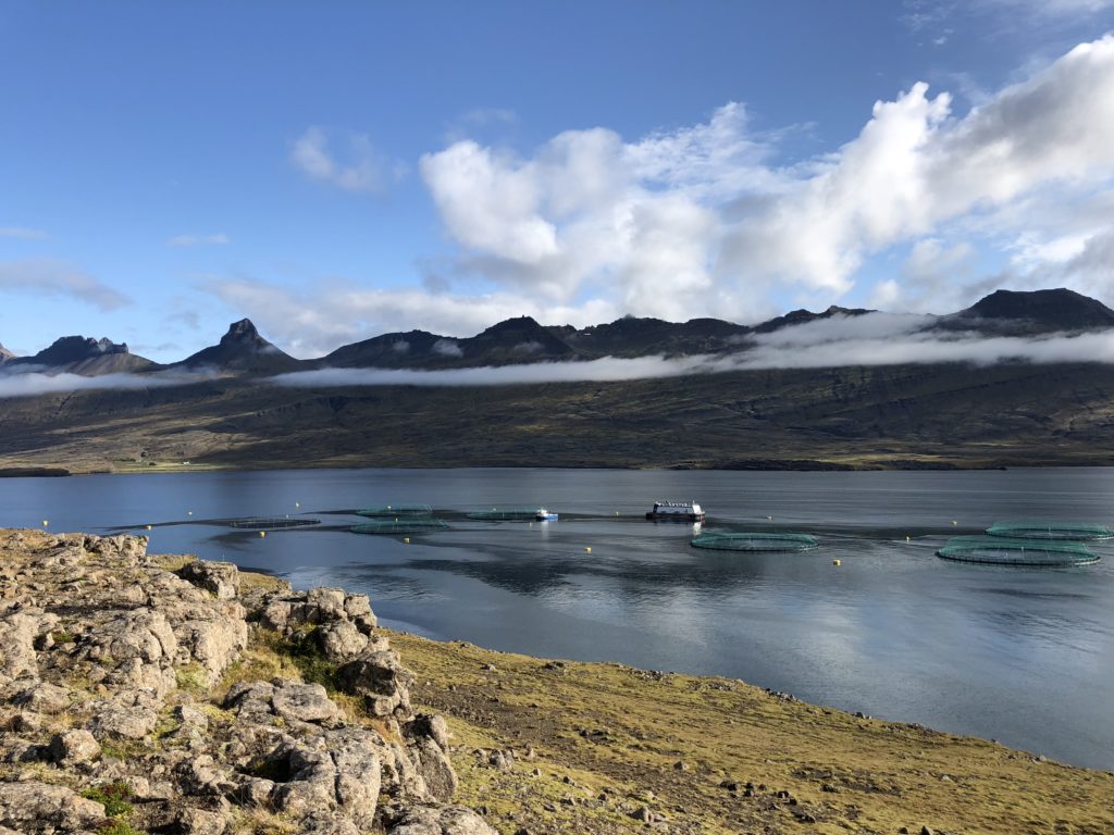 Fiskeldi Austfjarða hf: Hágæða íslenskur eldislax stútfullur af Omega3 - DV