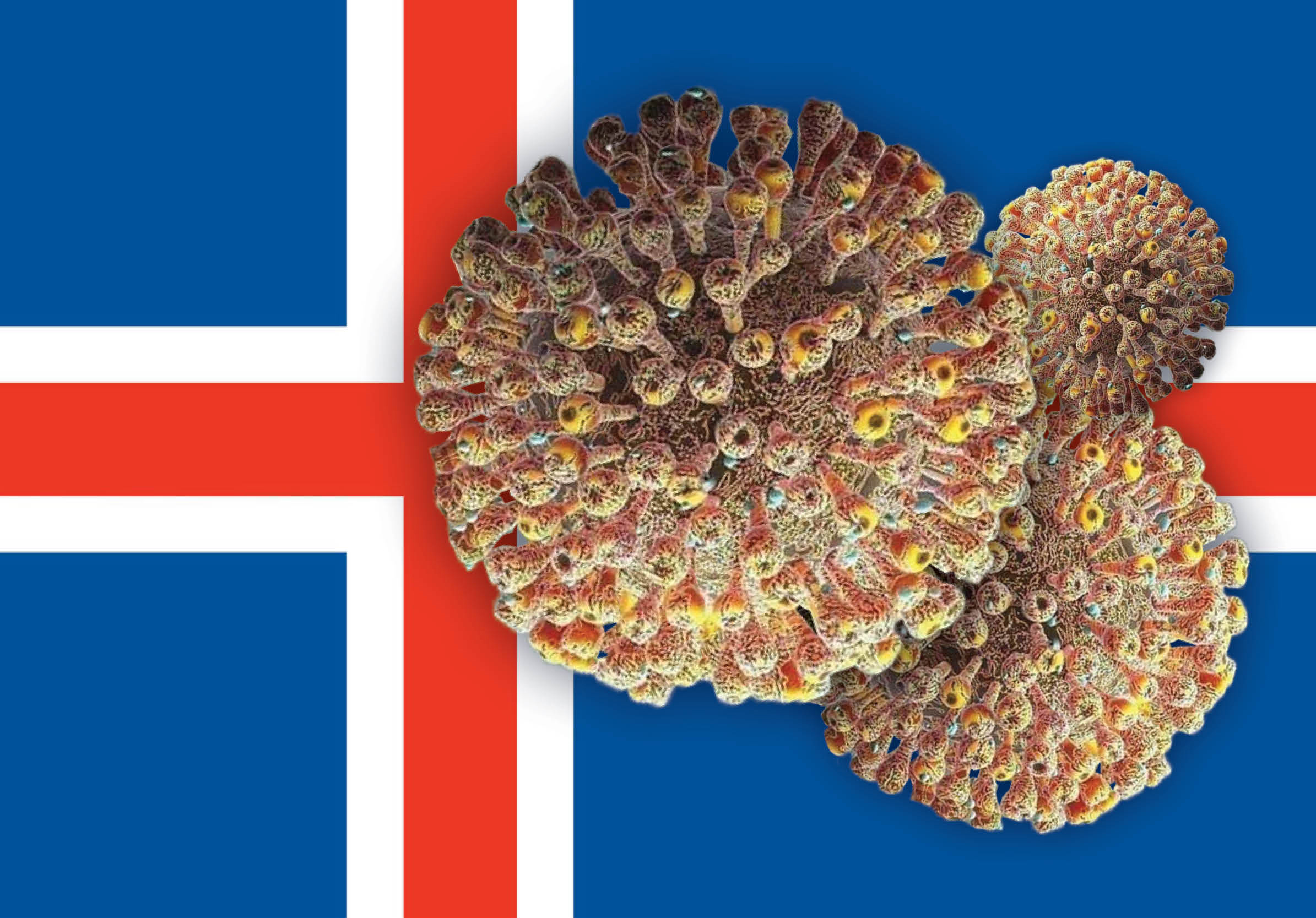 Smitin eru orðin 70 - DV