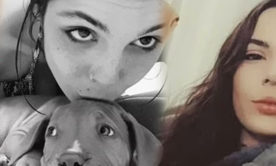 Setti hnetusmjör á kynfæri sín og lét hundinn sleikja það - DV