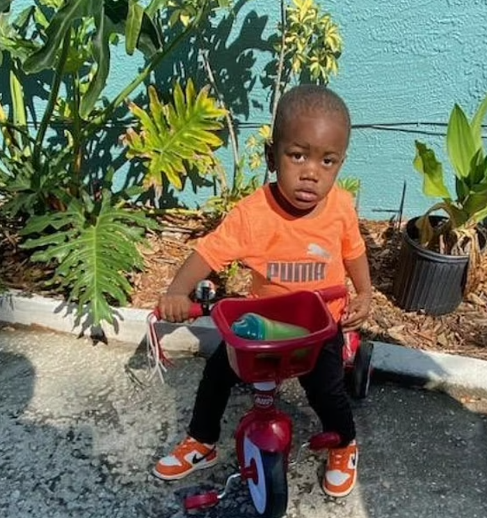 Tveggja ára drengur fannst í krókódílskjafti og móðir hans myrt heima ...