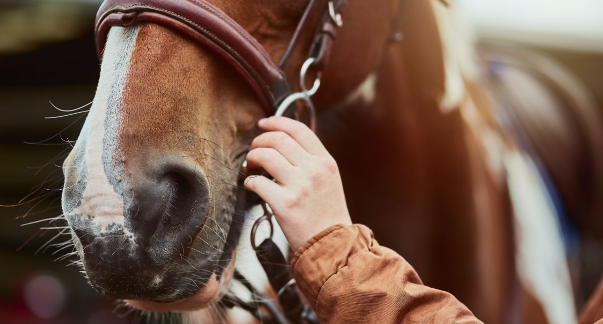 Brugðust samdægurs við fréttum um ásakanir á hendur manni sem hefur ...
