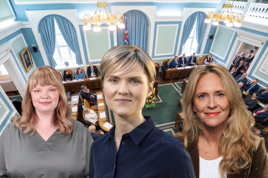 Samfylking fengi 21 þingsæti samkvæmt könnun – Evrópusinnaðir flokkar í ...