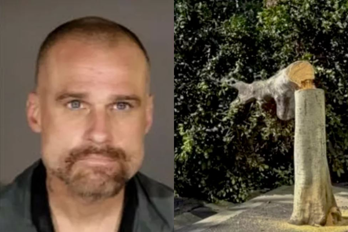 Höfðu loksins hendur í hári trjáaraðmorðingjans – „Allir vildu vita ...