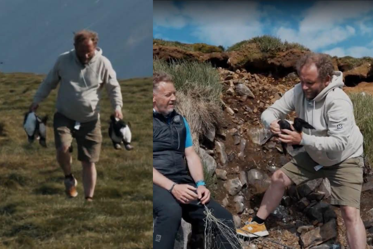 Fuglaáhugafólk hneykslað á Sveppa – „Greinilegt að fuglarnir þjást á ...